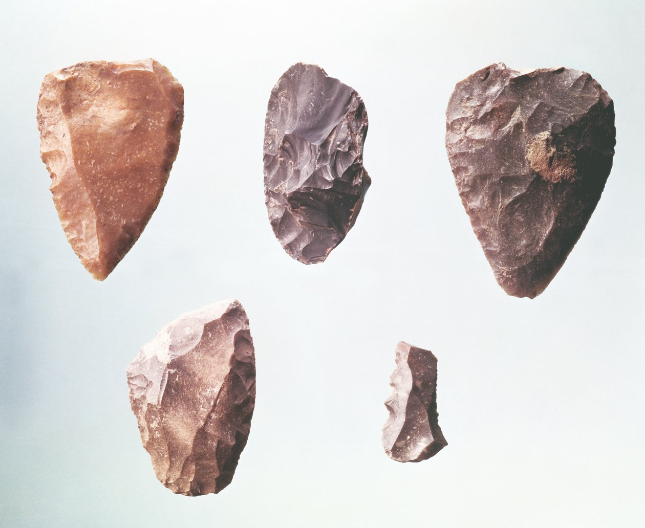 Prehistoric Stone Tools from the Grotte de Placard, 80000-35000 BC